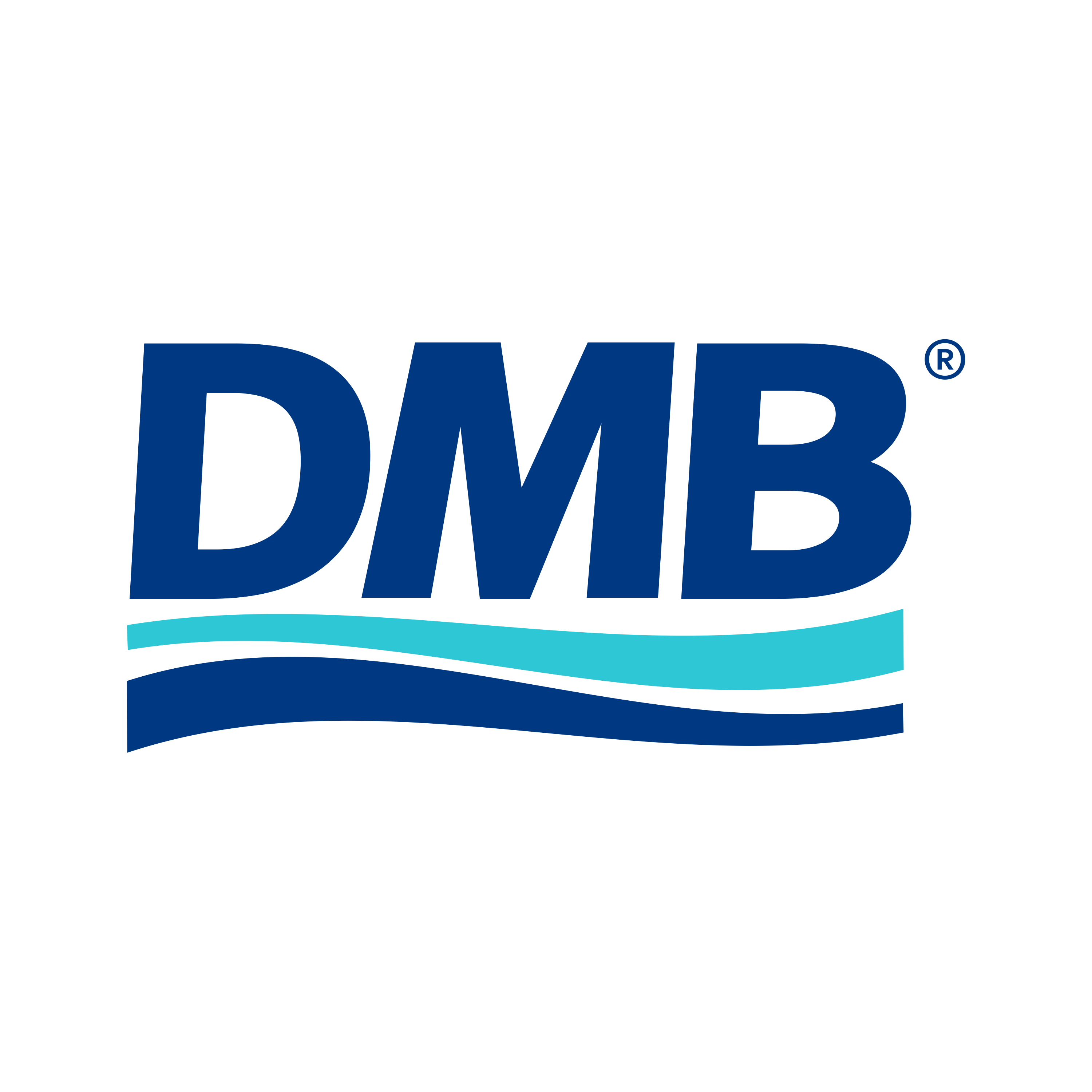 Home - DMB Bombas e Válvulas